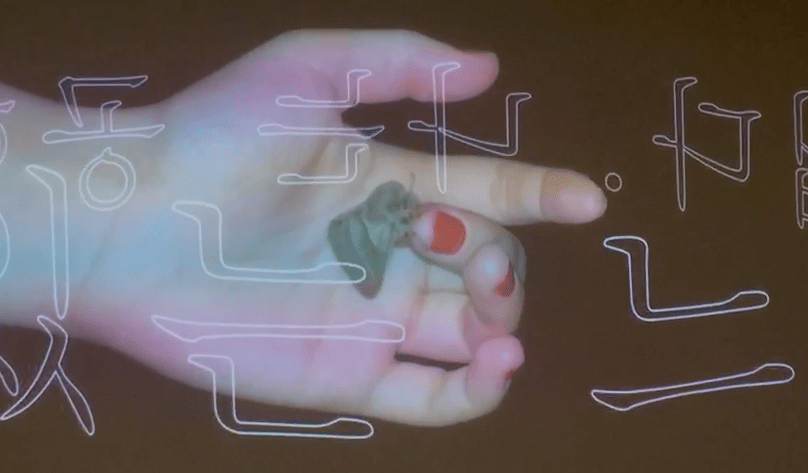 die ewigen gärten - pauler pauler